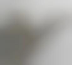 3D Body Part Decor : Wall Mounted Hand