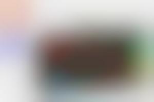 Internet Gaming Controllers : Reddit karma