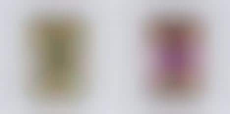 Funky Fruit Branding : SunFeel Packaging