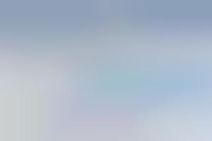 Comedic Cat Text Exchanges : Texts from Mittens