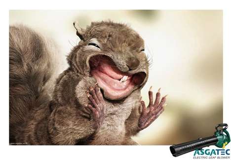 Anthropomorphized Animal Ads : anthropomorphized animal imagery