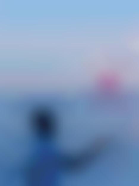 Dignified Wildlife Photography : African Animals