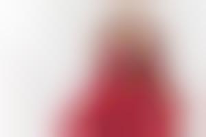 Great White North-Inspired Barbies : Royal Canadian Mounted Police Barbie