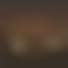 Incandescent Starry-Night Restaurants : the feast restaurant