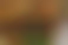 Fried Macaroni Burger Buns : Mac Attack Burger