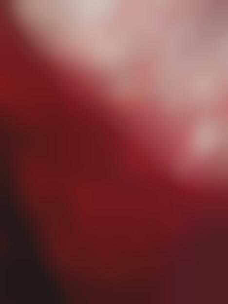 Gory Art Galleries : red art