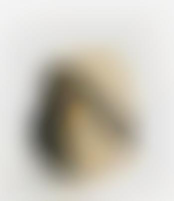 60 Wacky Wallets for Women