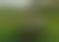 Inflatable Rain-Soaking Benches : water bench