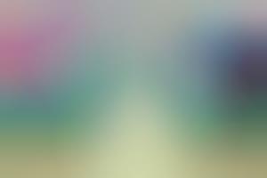 Student Survival Gift Boxes : Pijon Box