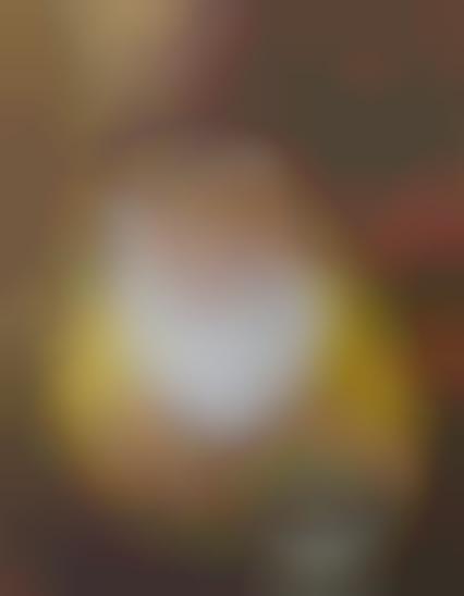 Inappropriate Lawn Decorations : Nature's Call Garden Gnome