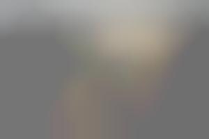 Unified Construction Tables : ter table