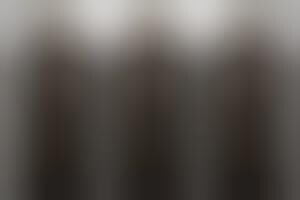 Spicy Holiday-Themed Drinks : jagermeister spice