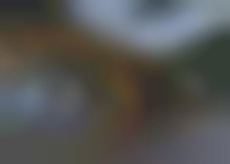 Airy Arboreal-Inspired Abodes : leaf houses