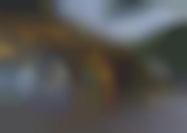 Airy Arboreal-Inspired Abodes : leaf houses