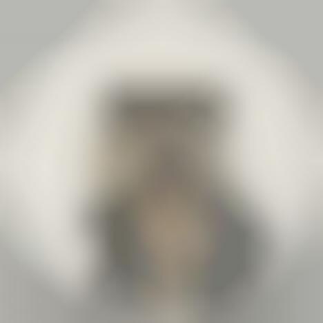 Personified Canine Portraits : Zhao Na