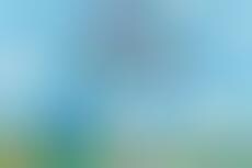 Historic Kitty Cartoon Collaborations : Hello Kitty x The Simpsons