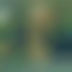 Unfoldable Car-Roof Tents : rooftop tent