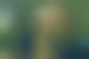 Unfoldable Car-Roof Tents : rooftop tent