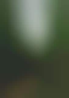 Distorted Nature Views : Disturbing the Spirits