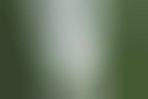 Distorted Nature Views : Disturbing the Spirits