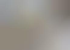 3D-Printed Fungus Chairs : Mycelium