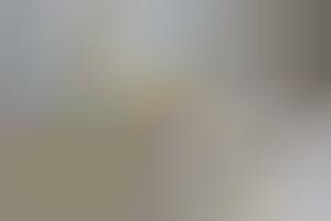 3D-Printed Fungus Chairs : Mycelium