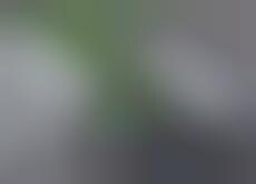 Eco-Friendly Turf Seating : grass bench