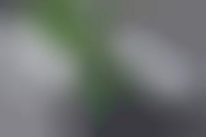 Eco-Friendly Turf Seating : grass bench