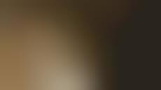 Kitten Delivery Services : national cat day