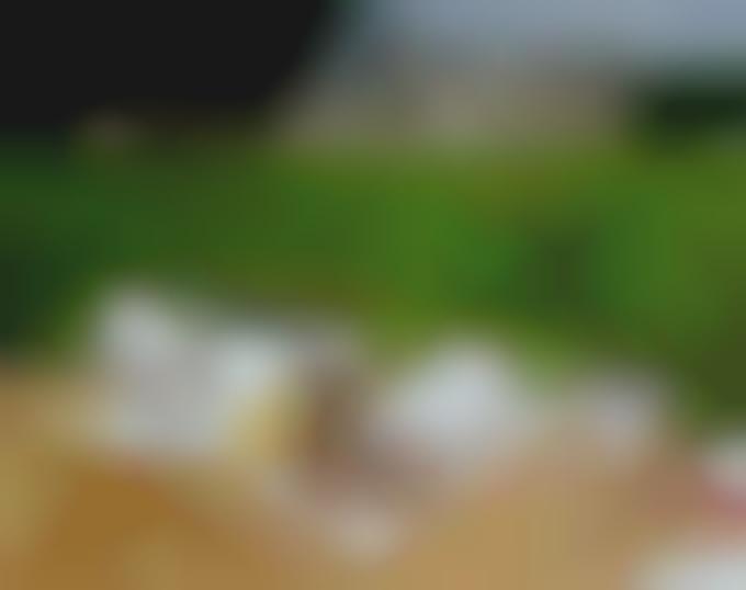 23 Modern Bathtub Designs