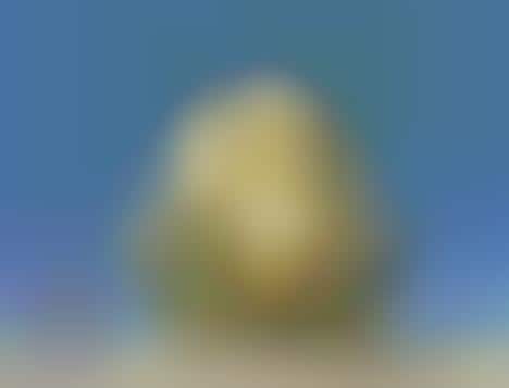 Shape-Shifting Pavilions : interactive architecture