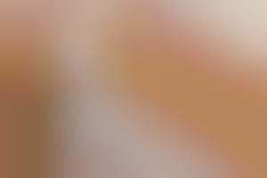 Pie Slice Place Savers : pie dam