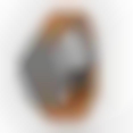 Fashion-Forward Movement Monitors : Shine Activity Monitor