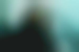 Dejected Zoo Animal Photography : zoo animal photography