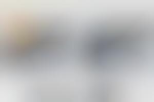 Tiny Feline Phone Plugs : cat phone plug