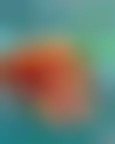 Enchanting Disney Covergirls : Robby Cook