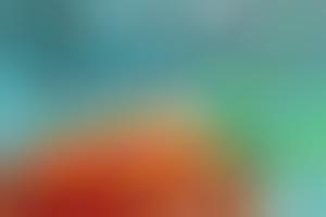 Enchanting Disney Covergirls : Robby Cook