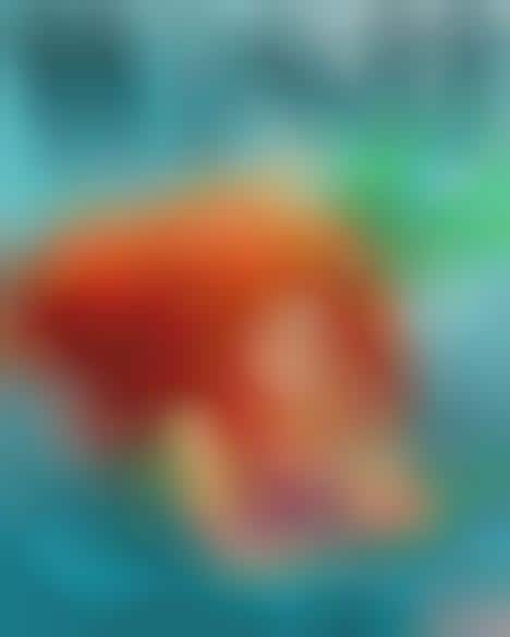 Enchanting Disney Covergirls : Robby Cook