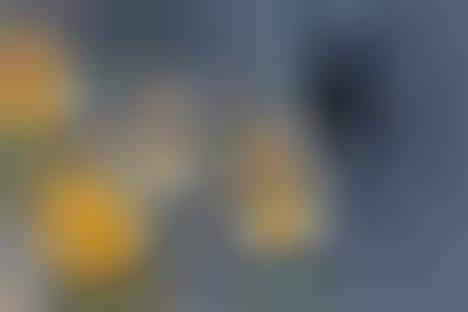 Clear Cube Game Pieces : Negative Space Chess Set