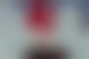 Bearded Princess Cartoons : Disney princess illustrations