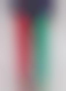 Duo Hue Holiday Pants : two colored pants