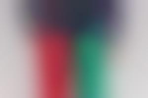 Duo Hue Holiday Pants : two colored pants