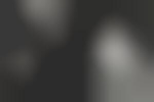 Distinguished Model Portraiture : Johnny Harrington