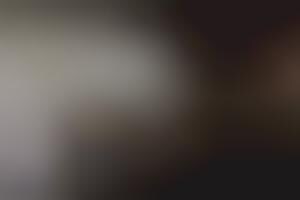 Fake Product Pranks : multifunctional light switch