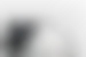 Functional Feline Styluses : cat stylus