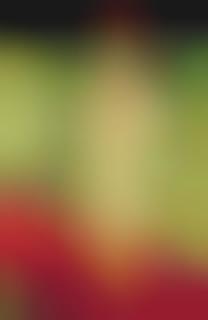 Invisible Monster Catchers: Catcha Beast