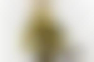 Dictator Dolls: Knit Your Own Hitler