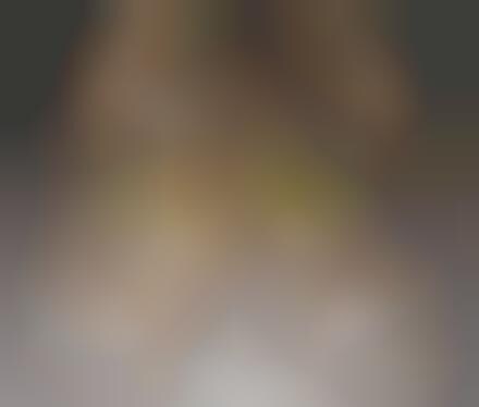 18 Insect Inspired Designs