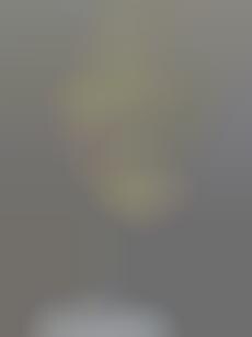 Fictional Anatomy: Pac Man Skull, Bugs Bunny, Gummi Bears