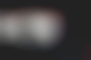 Camera for the Blind: Touch Sight